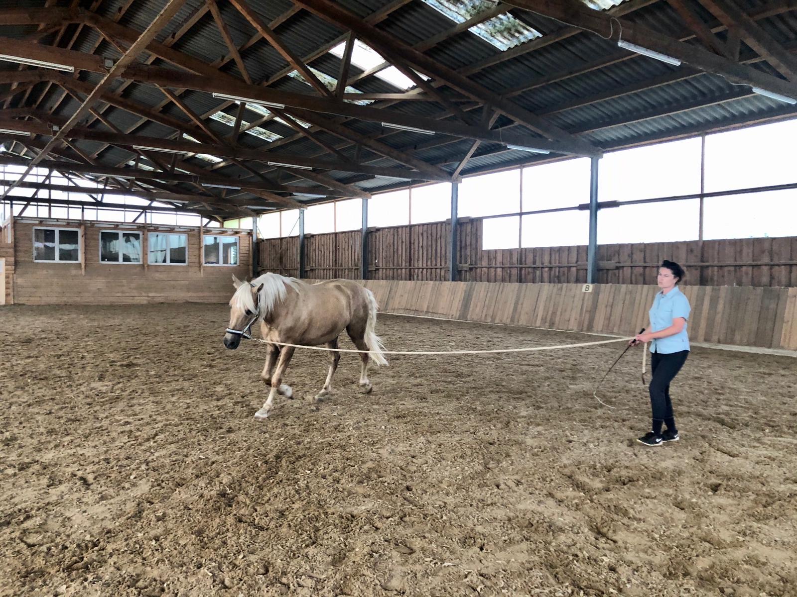 Erfahrungsbericht: Ein Lehrgang im Juli 2020 mit Laura Vörtler | Die ...